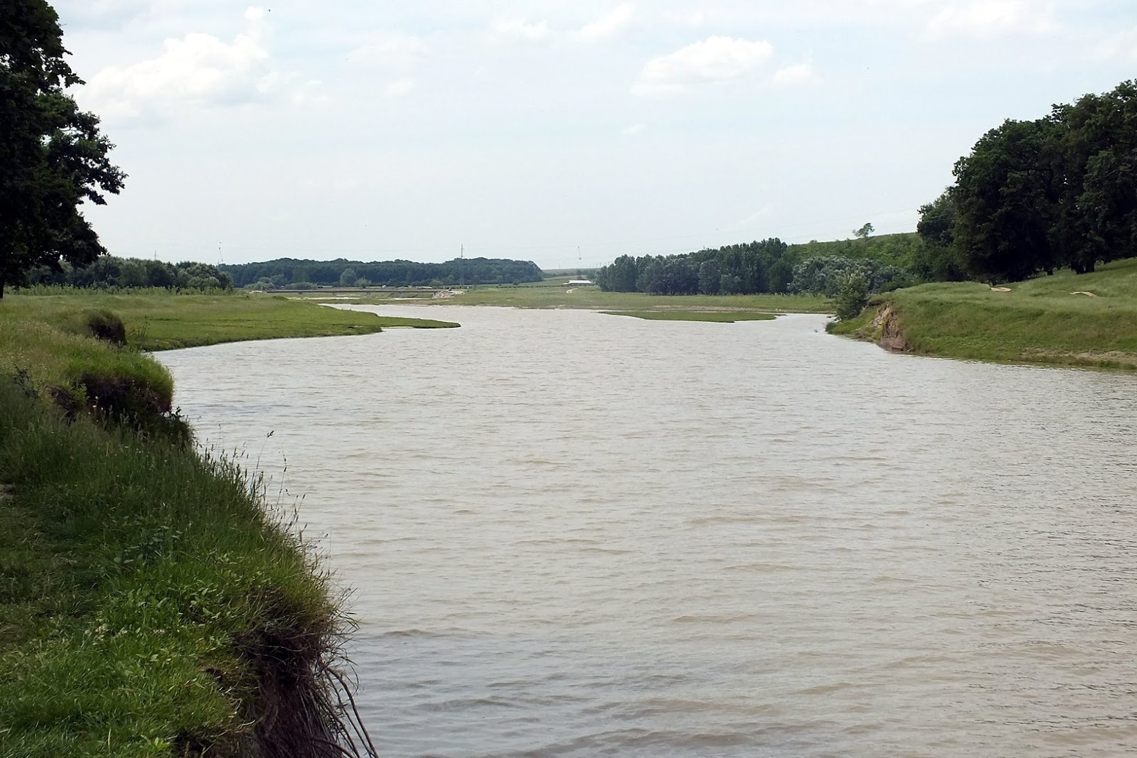 Jurnal unui desculț : pupaza porumbei rata leseasca padurea vedea raul ...