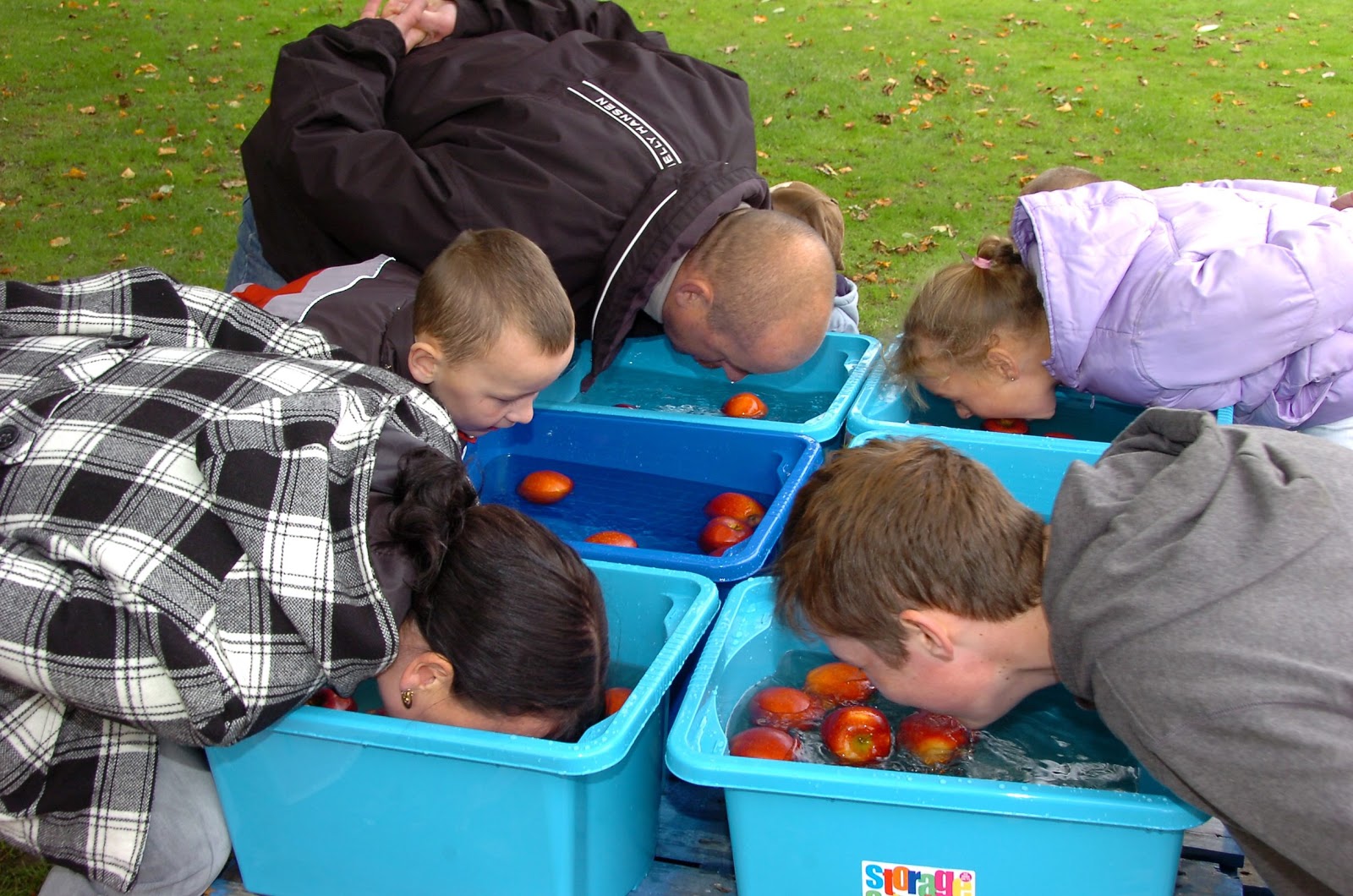 Traditions, Festivals & Celebrations around the UK: National Apple Day