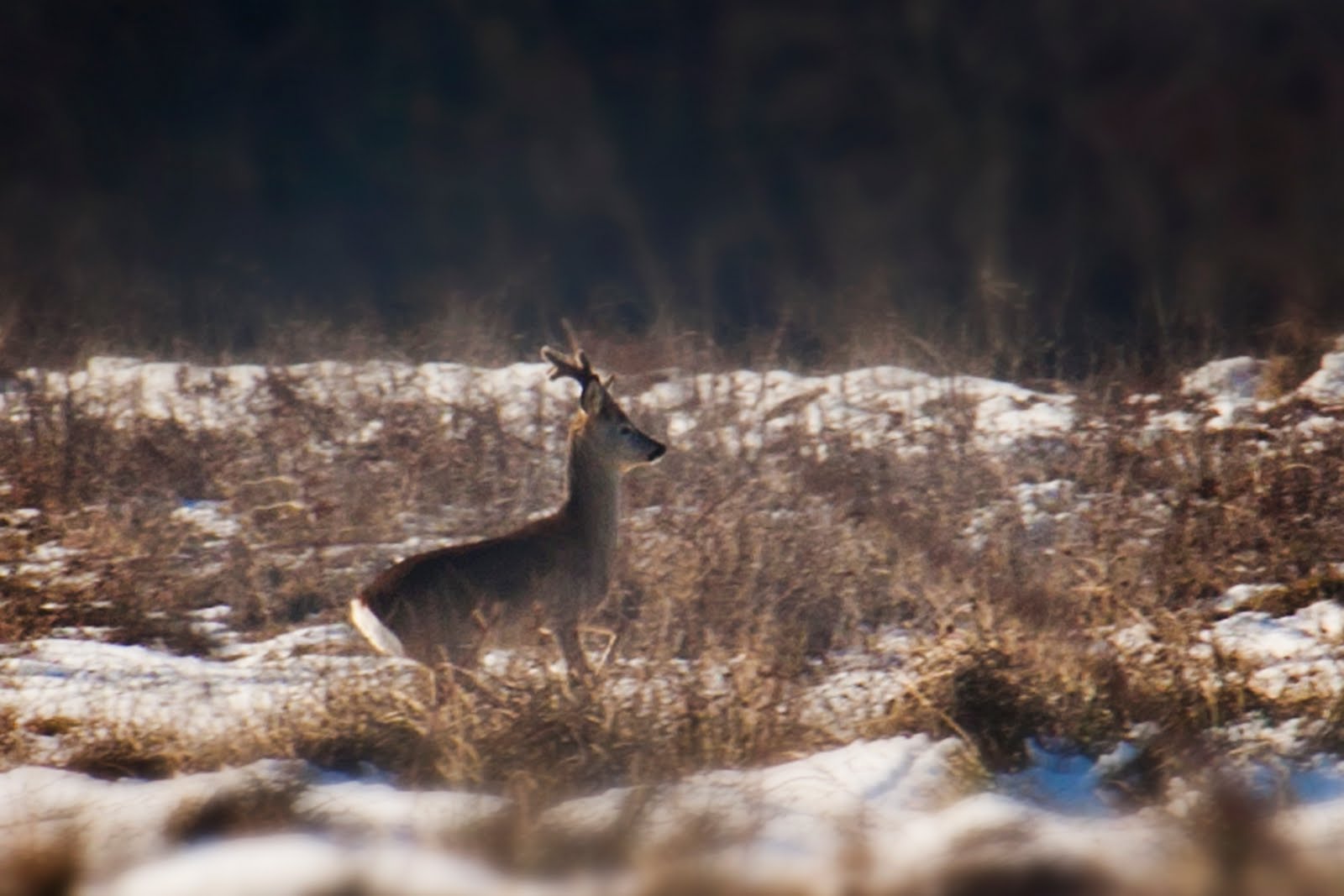 spatiu timp si suflet: septembrie 2010