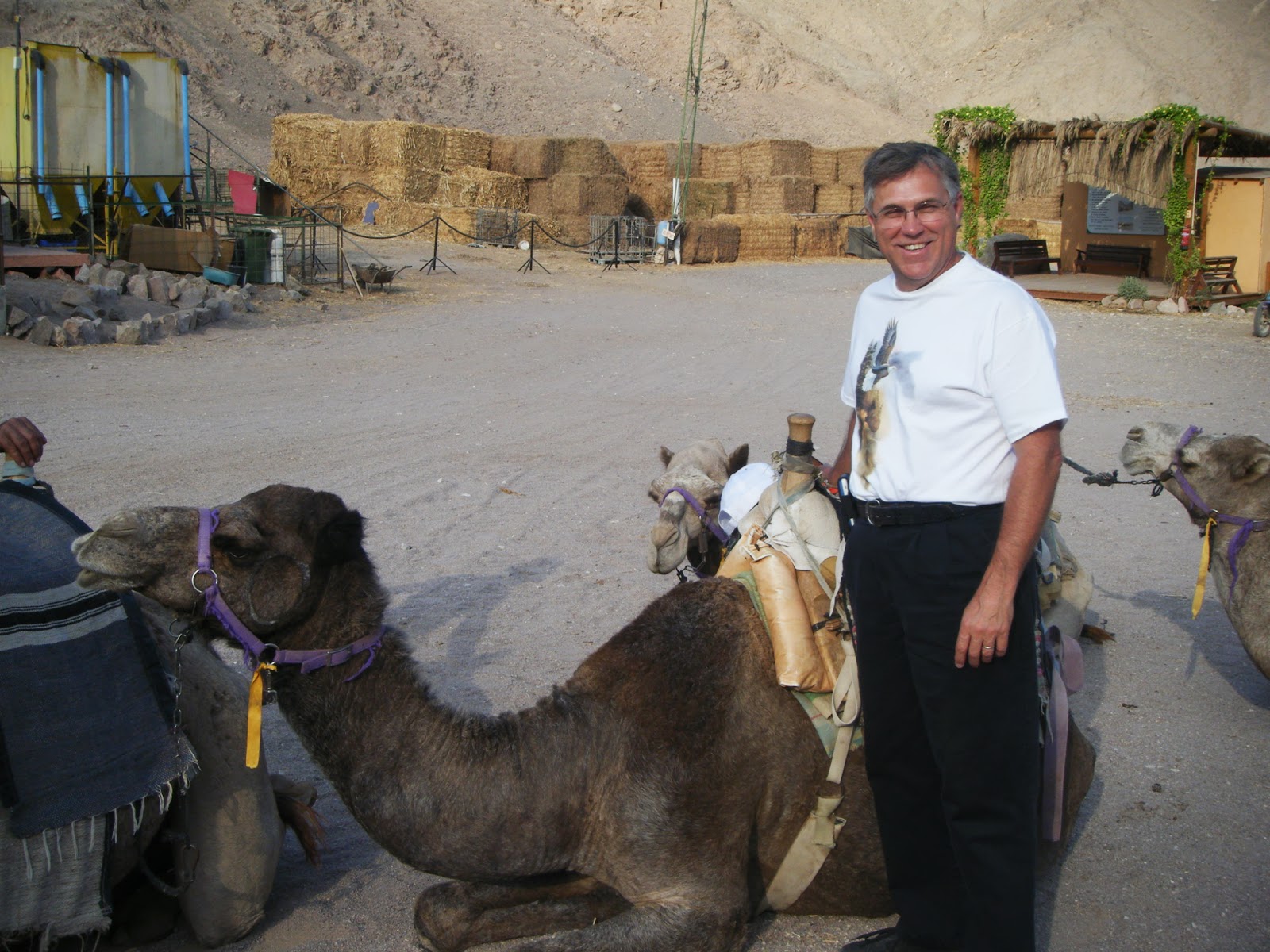 Love For His People: Camel. Ride. Negev Desert in Israel.