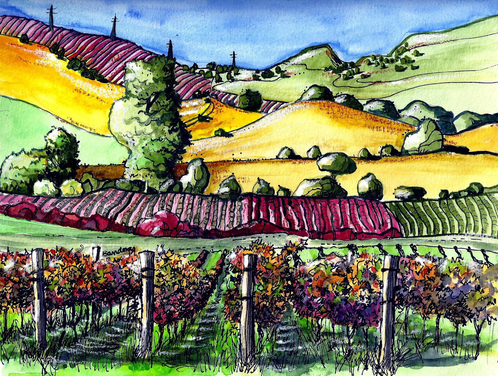 Terry's Ink and Watercolor: Fairfield Vineyards Terry's Ink and Watercolor: Fairfield Vineyards