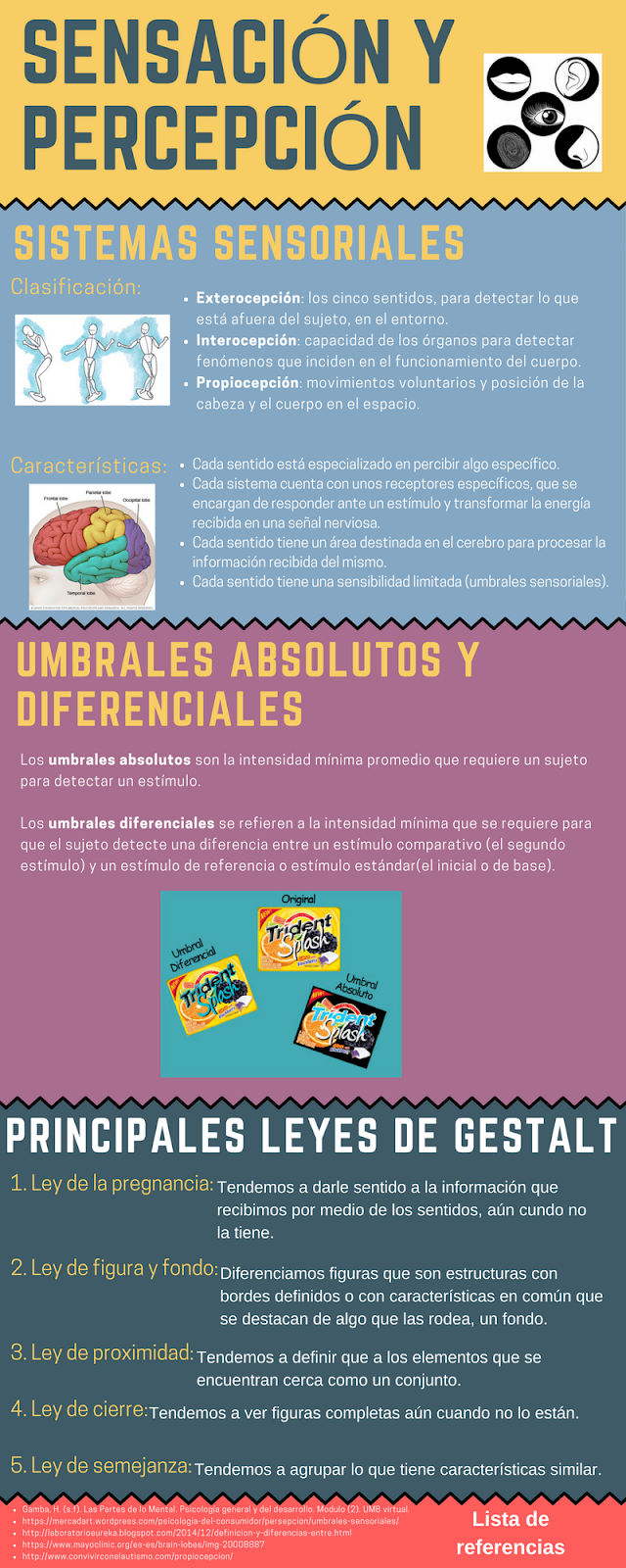 Infografía sensación y percepción