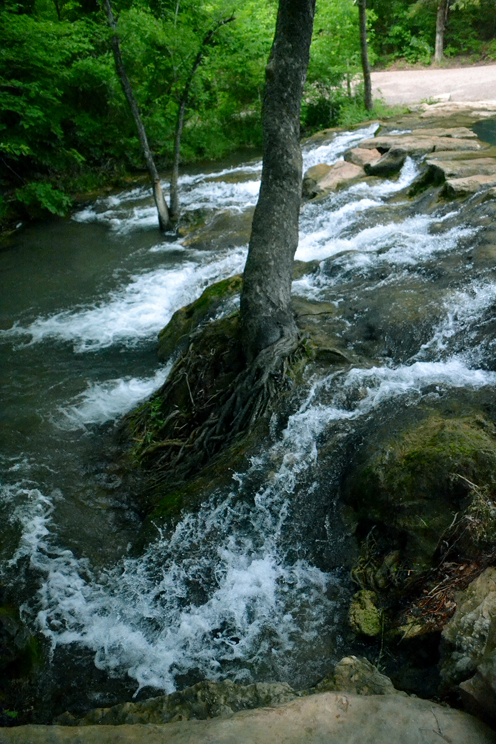 Freedom_to roam_roadtrip. : Back to Where A Passion Began: Seeking ...