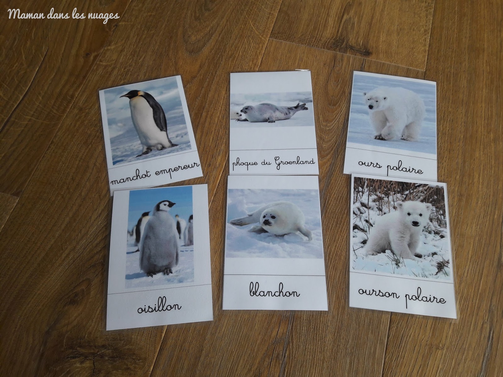 Maman dans les nuages: Cartes de nomenclature des animaux des régions ...