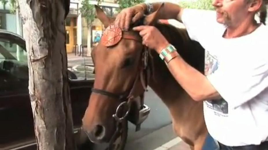 Jewish Humor Central: Meet Craig Cohen, the Jewish Cowboy From New Mexico