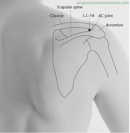 Jarum Sakti: Meridian Paru-paru & Usus Besar
