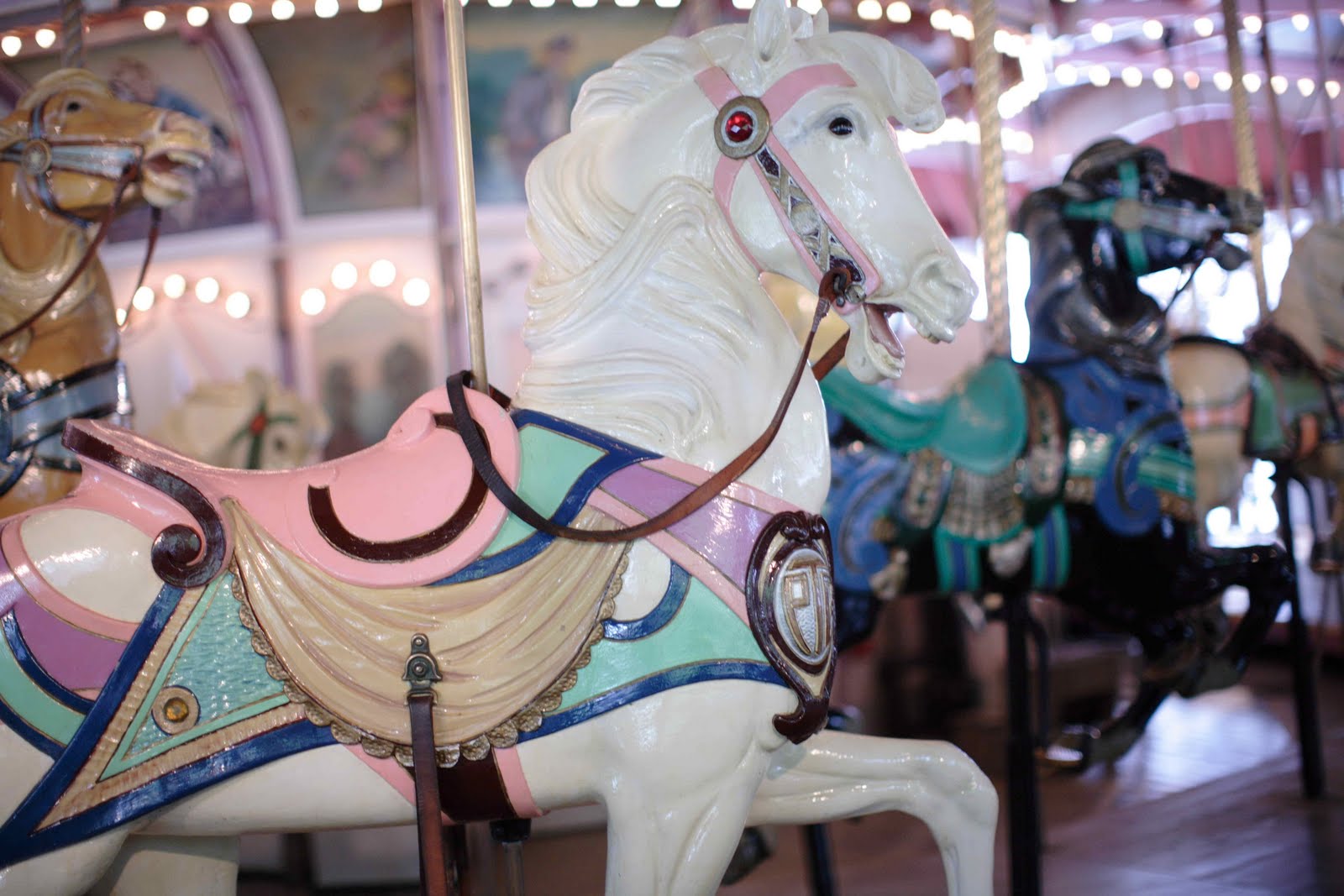 Lisa O'Dwyer Photography, Artistic Photography in Co. Kildare Ireland ...