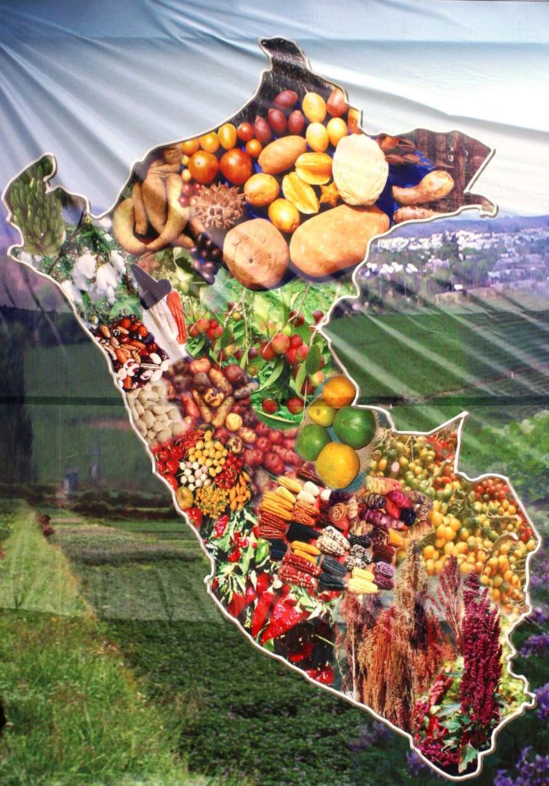 La Biodiversidad: Biodiversidad en el Perú