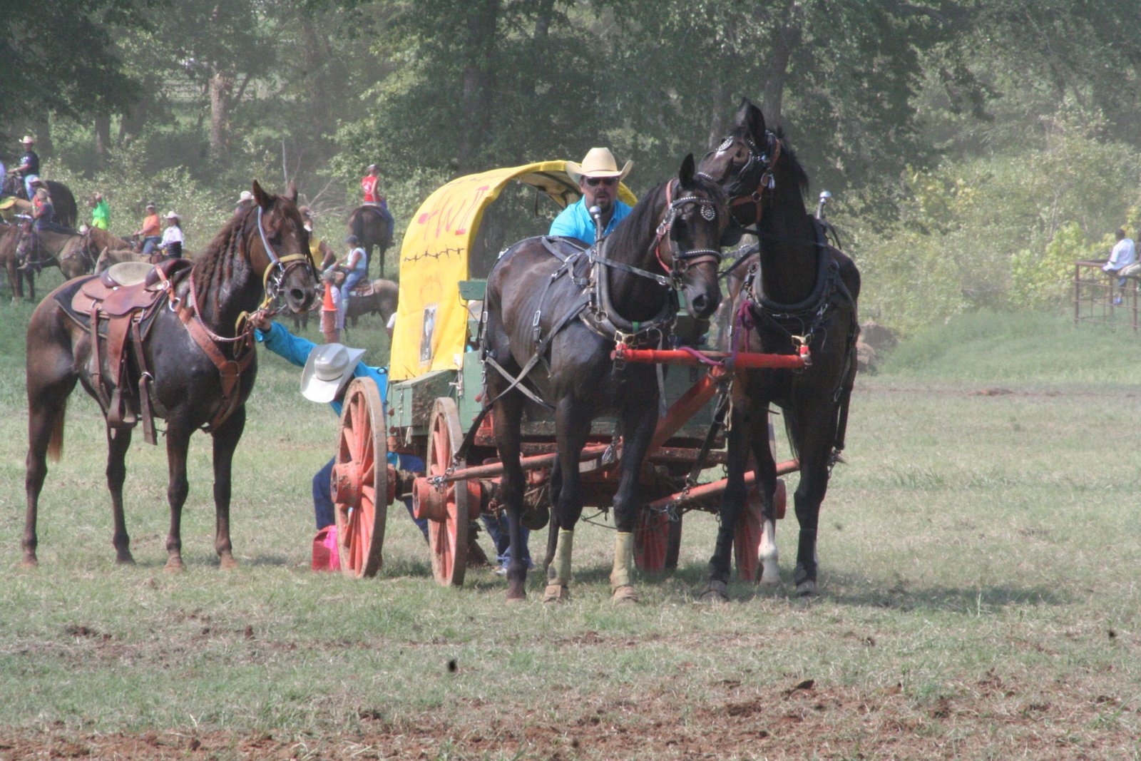 PairADice Mules: Chuckwagon Races