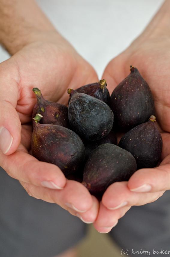 Knitty baker: Fresh Figs with Bacon and Goat Cheese