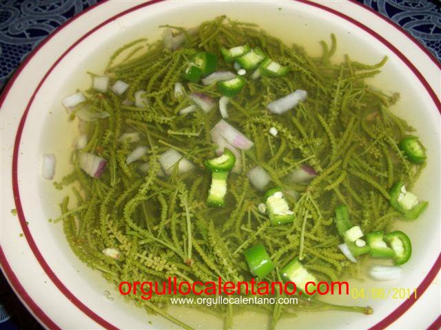 Orgullo Calentano: Aparece la sánchicua con las primeras lluvias del ...