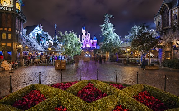 Disney Photoblography