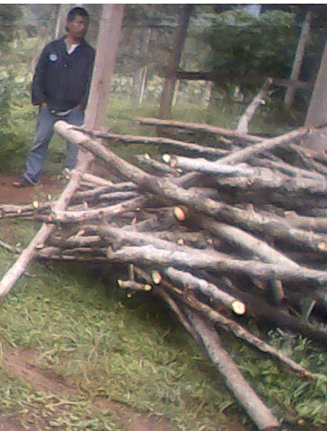 .: PENGOLAHAN KAYU RAKYAT