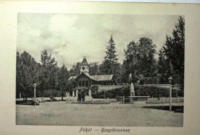 Ştiinţă pentru toţi: Borsec la începutul secolului XX