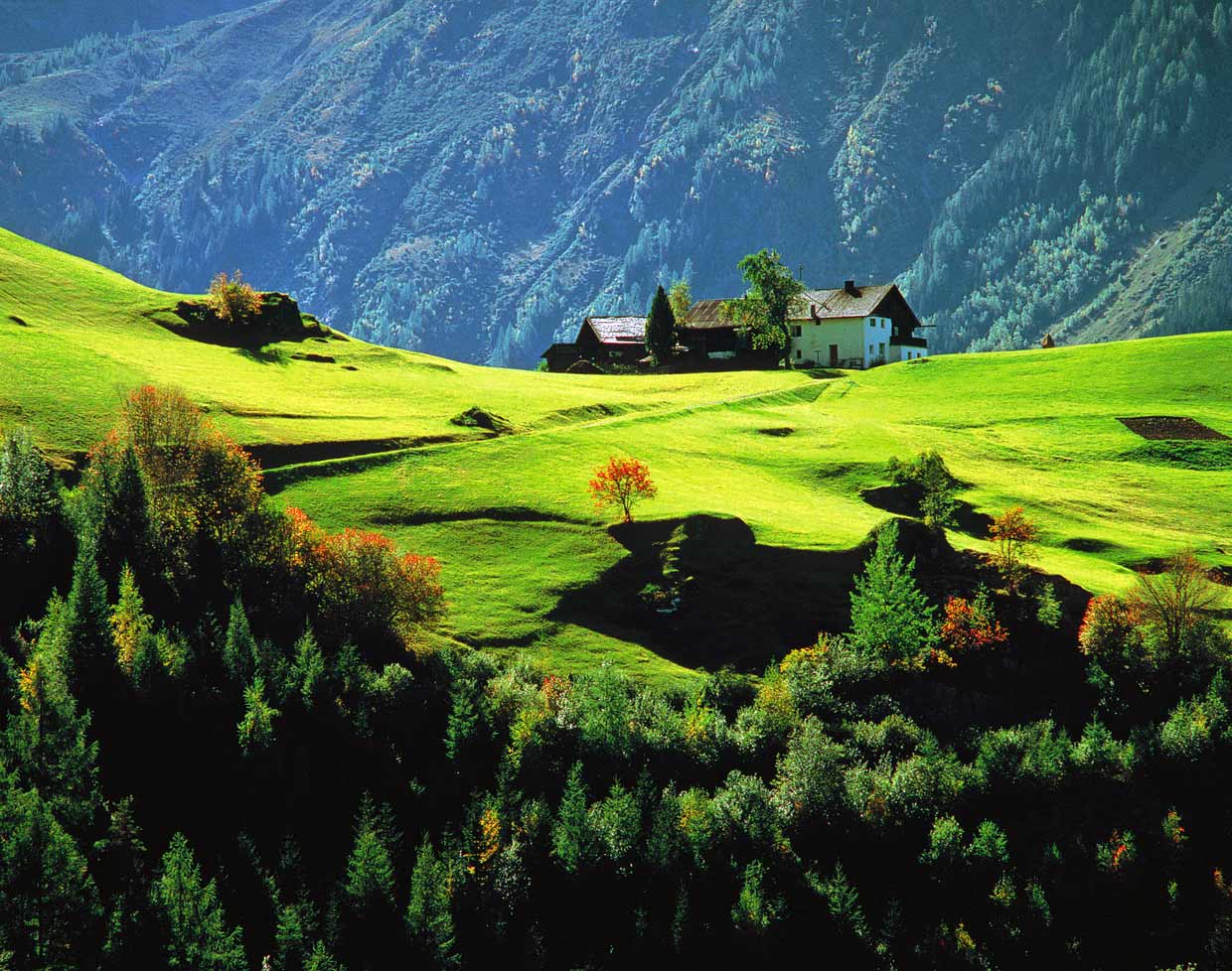 ¿Sabías que? Educación Ambiental: Los países más verdes del mundo según ...