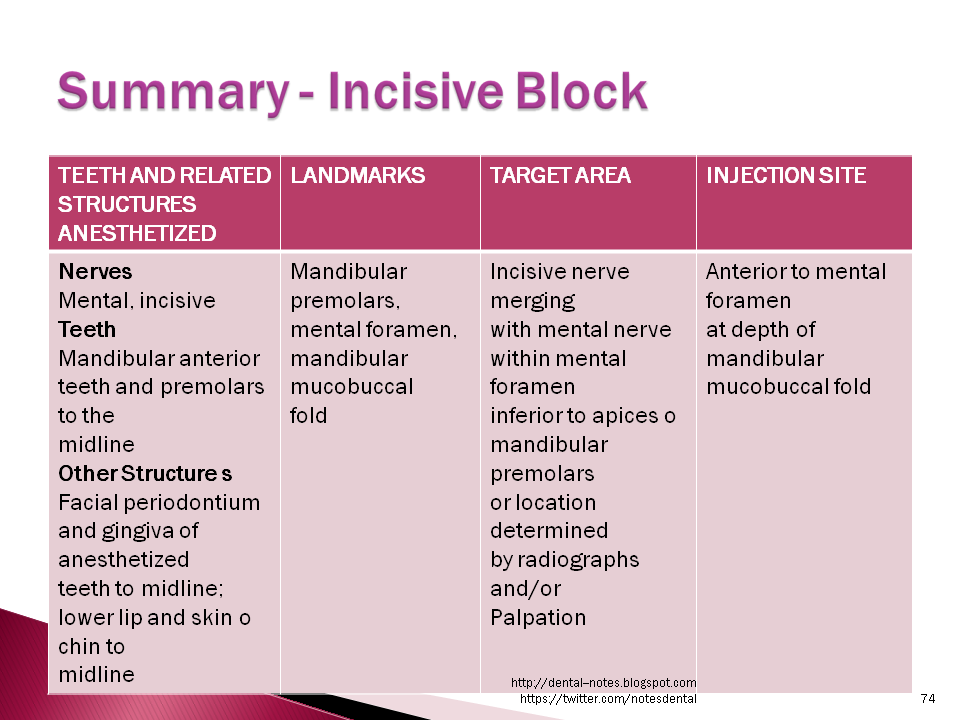 Dental Notes: Mental and Incisive Nerve Block NOTES