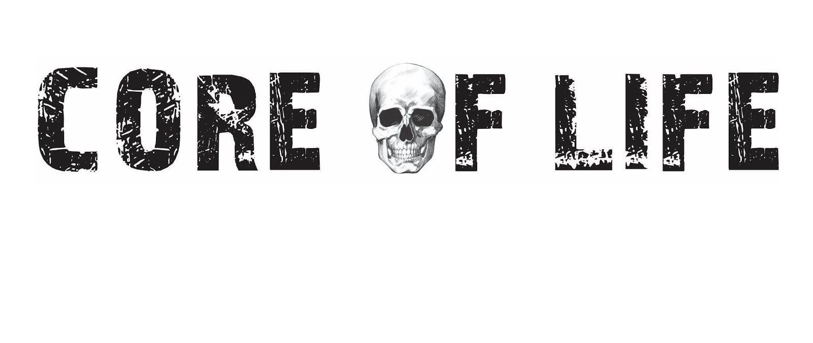 Core of Life - South America: Algumas historias da banda!