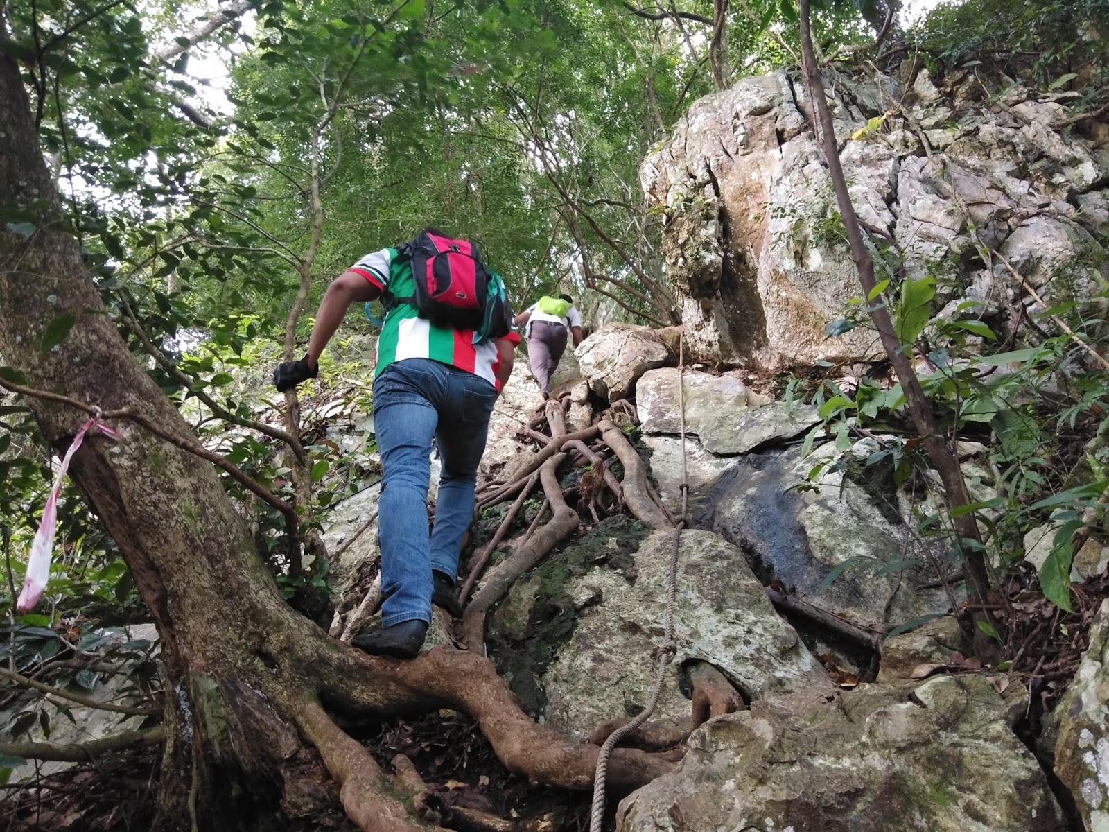 ISKANDAR JASSA BLOG: PENDAKIAN KE GUNUNG PULAI BALING KEDAH