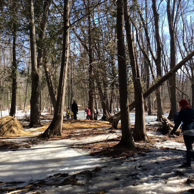 Inquisitive Children: Let's Go Outside and Play!