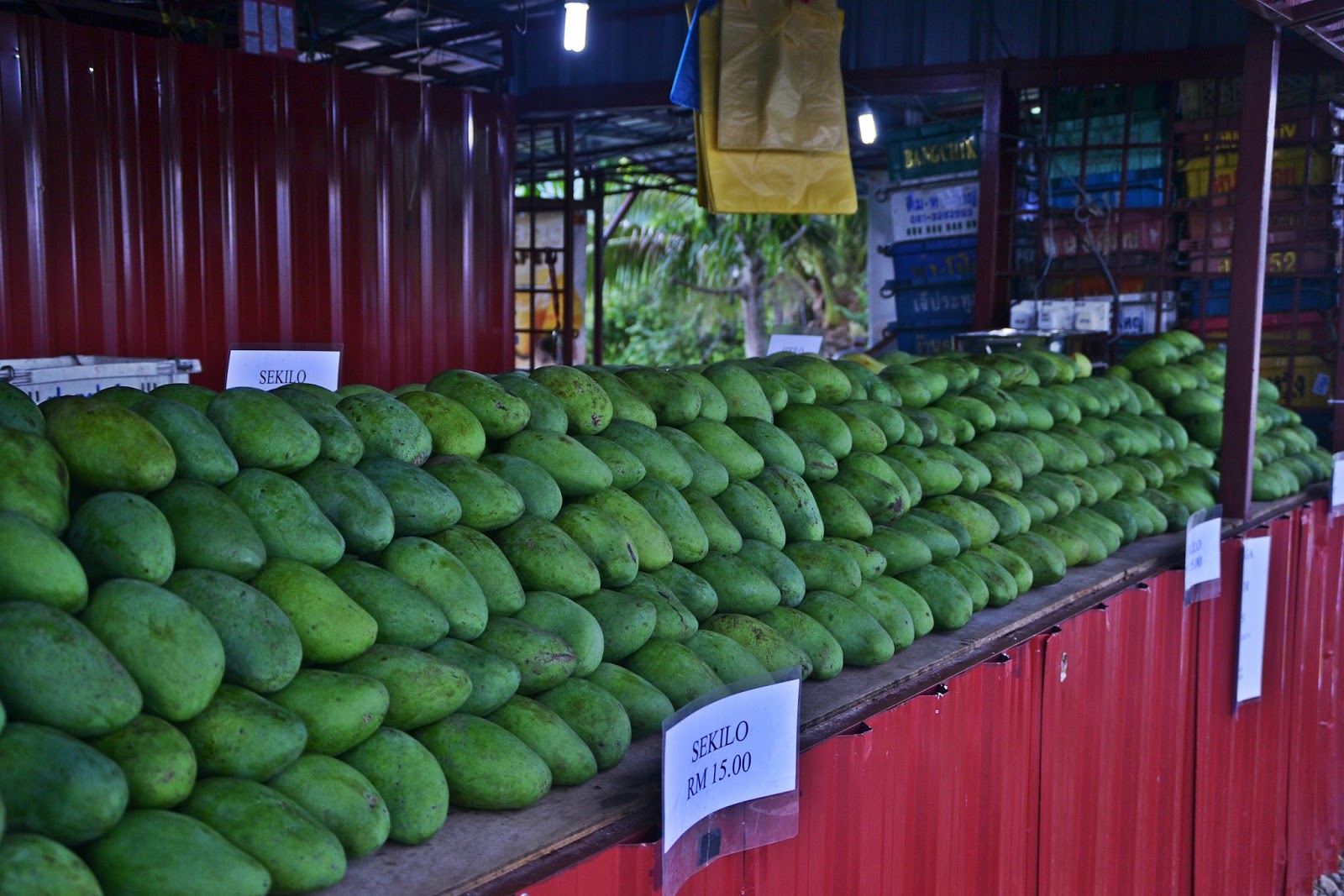 My World: MEMPELAM HARUM MANIS