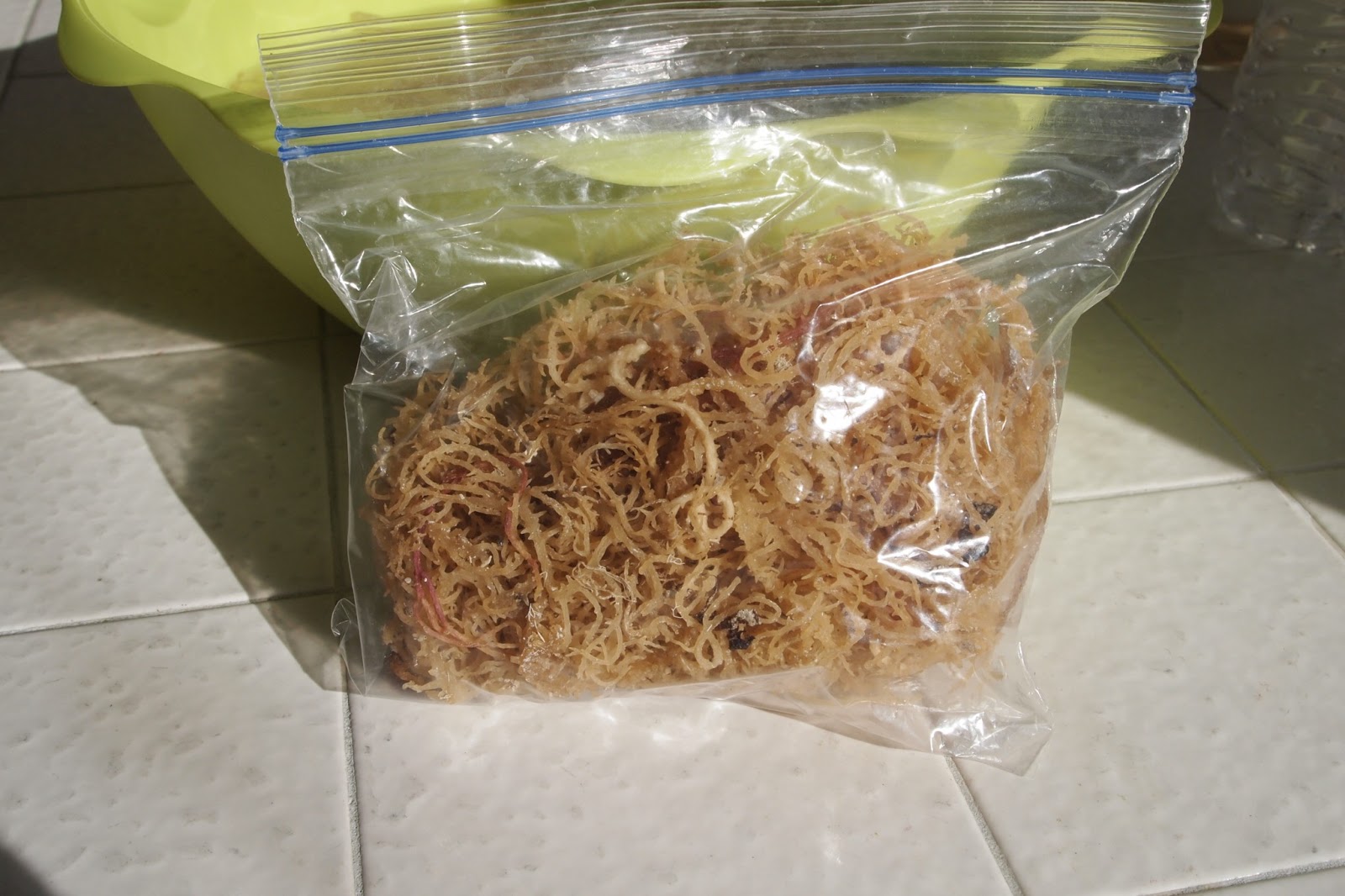 i, mee, and myself: Guso!