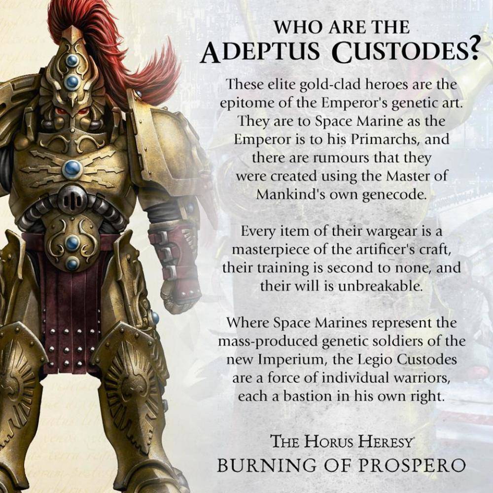 Battle Bunnies: Who are the Custodes?