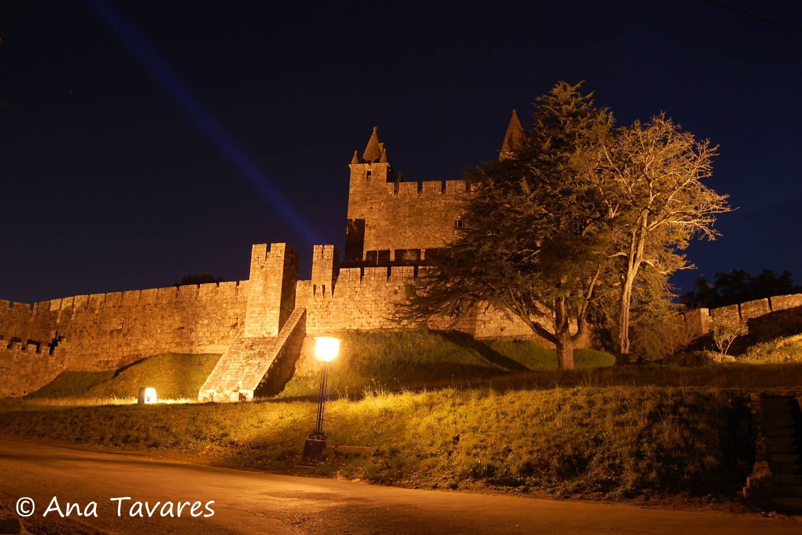 Me and my Nikon: Castelo de Sta. Maria da Feira (à noite)