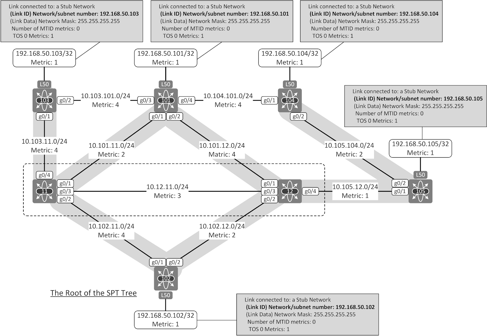 The Network Times Vxlan Underlay Routing Part I Ospf And Dijkstra Spf Algorithm