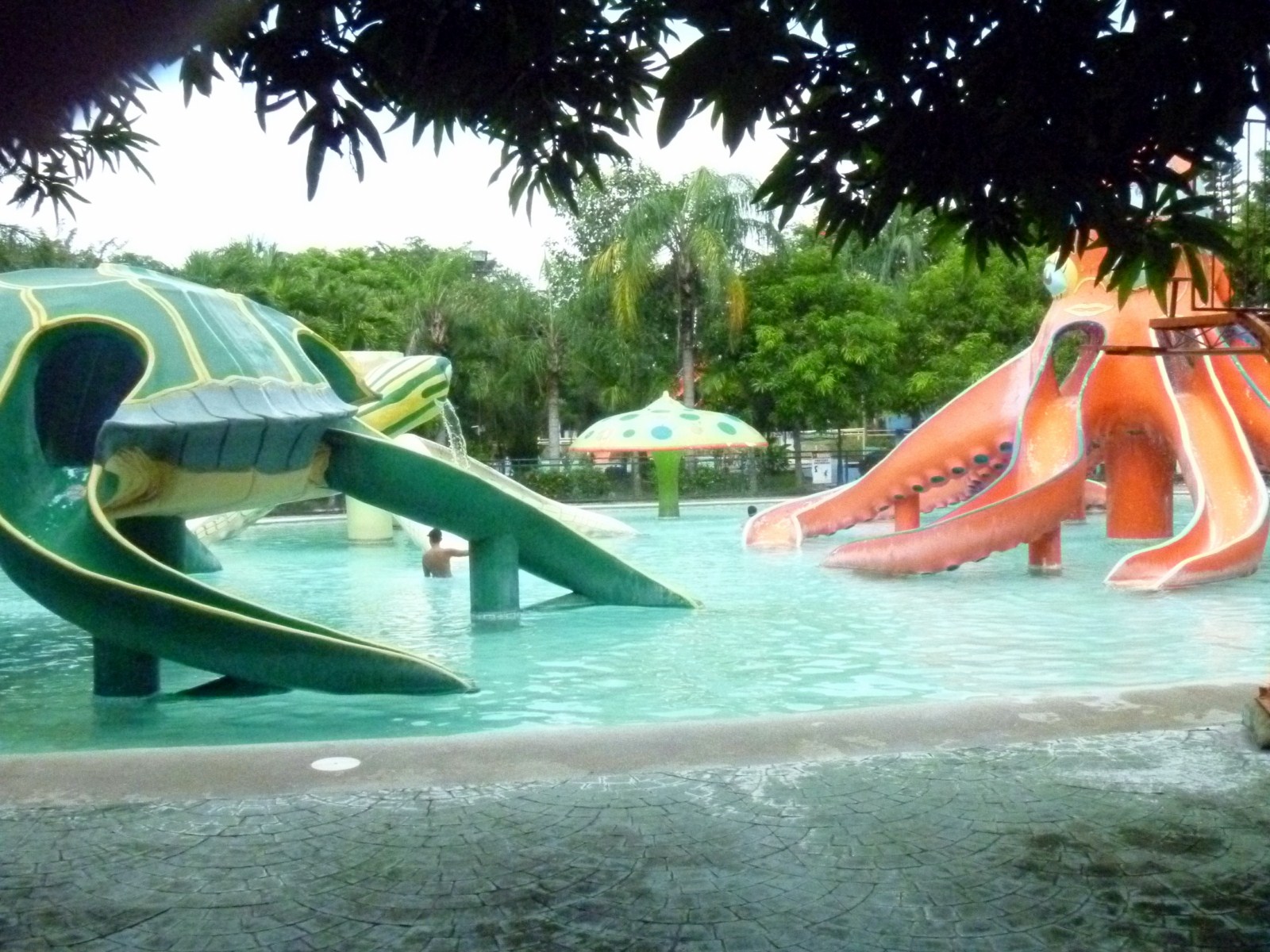 F.Y.I. (Fire Your Imagination): Resort Review: DJ Paradise Resort ...