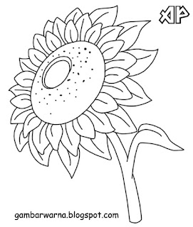 Mewarnai Gambar Bunga Matahari