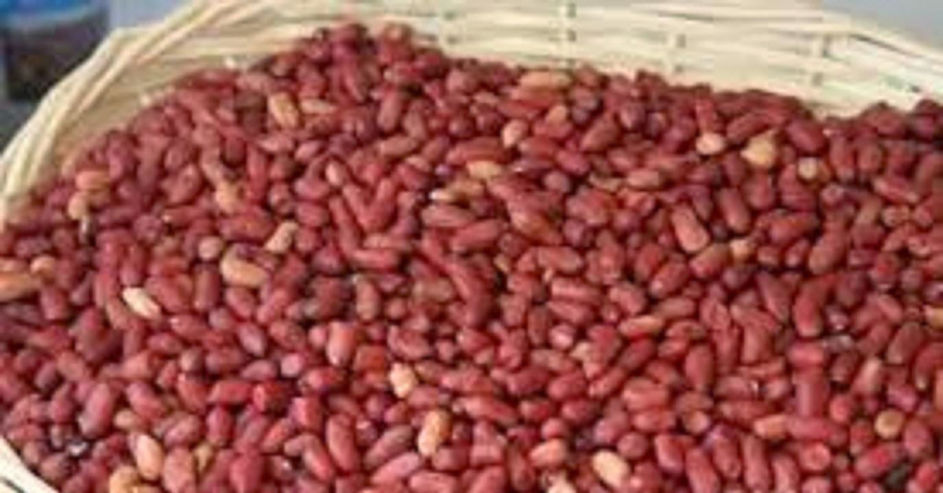 Agriculture: Dans l'étau de la cherté des arachides au Cameroun ~ L ...