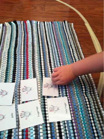 Our Montessori Homeschool: Parts of a Hand (Nomenclature Cards)