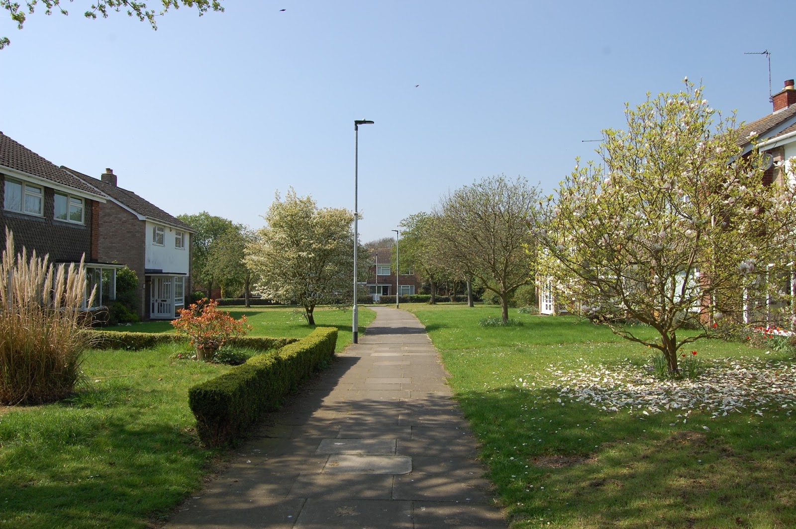 The Radburn Idea 3: The private sphere - 'true' Radburn, 'partially ...