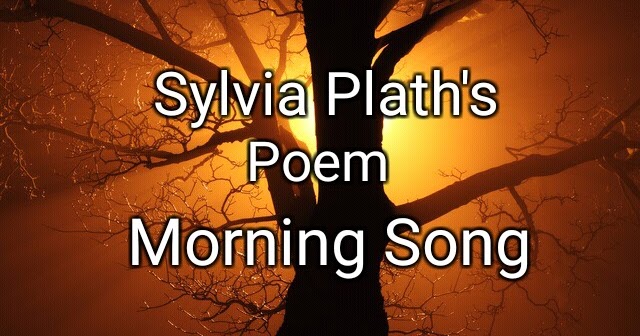 Sylvia Plath: Morning Song
