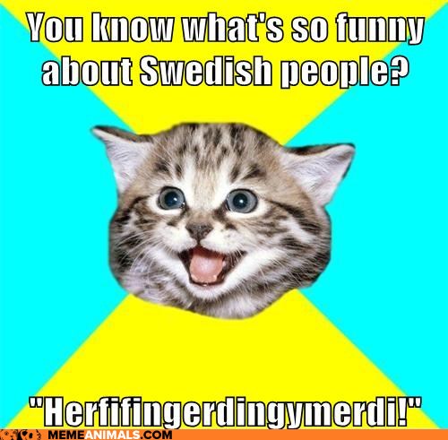 Swedish funny animal ,Swedish gallery photo gallery