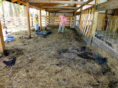 Rural Revolution: Building feed boxes