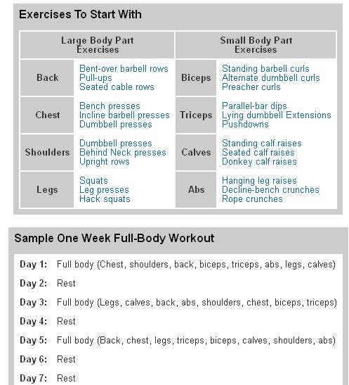 Maringeblog: The Full Body Workout ( TBWO / FBW )