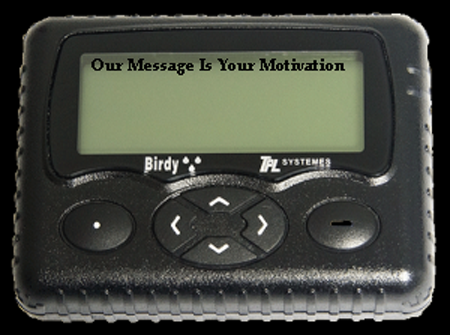 Another Bird Blog: Motivation