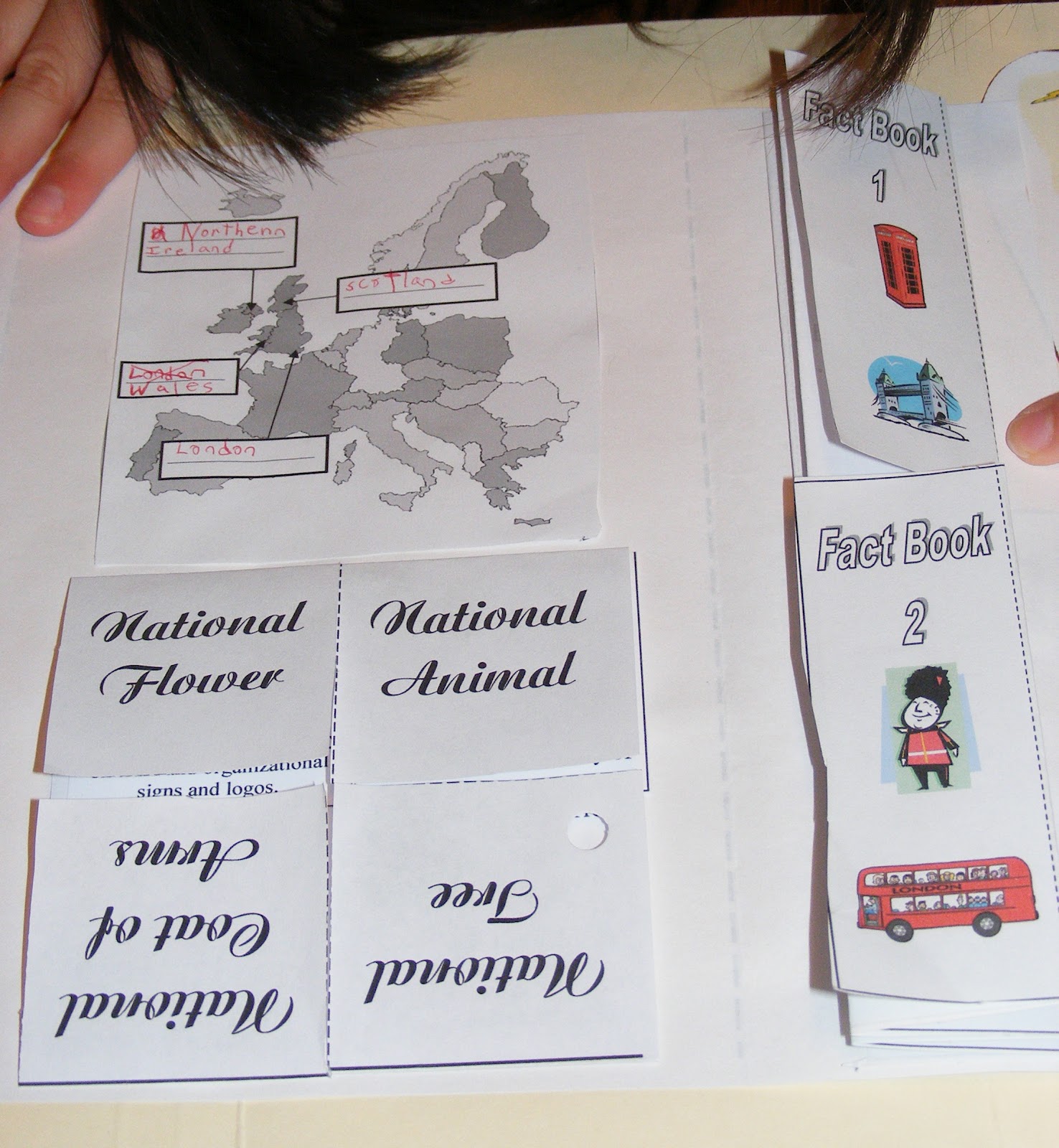 Ten kids and a Dog: 2012 Summer Olympic Lapbook--Part 1