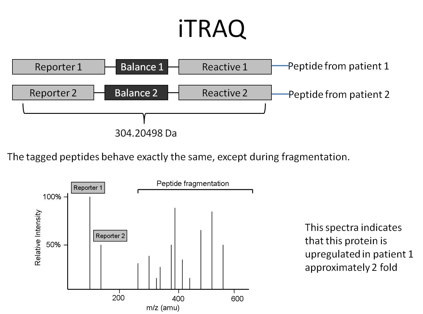 News in Proteomics Research: MS3 for reporter ion (iTRAQ/TMT) Quan