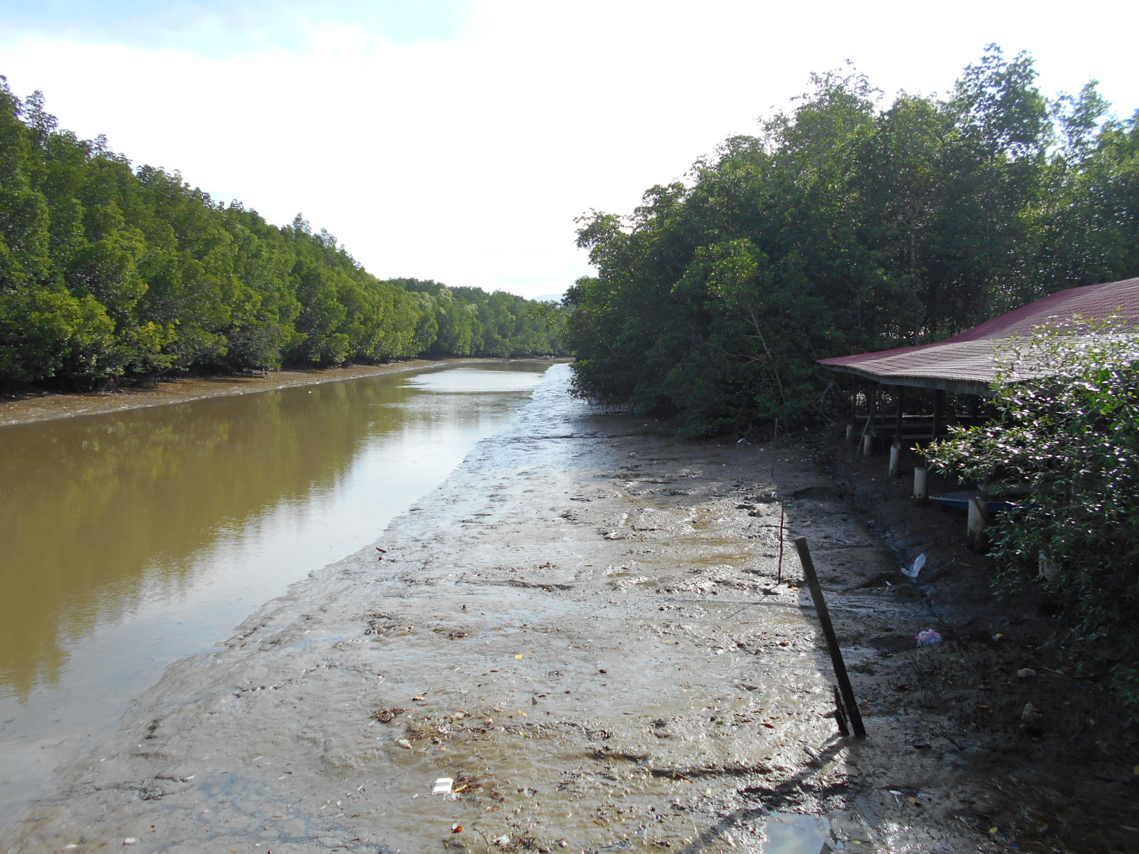 ini cherita the legend: Eco-Tourism: Hutan Paya Bakau Matang, Perak