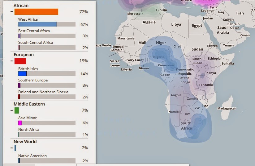 Journey Into The African Past: The DNA Test Results of An African ...
