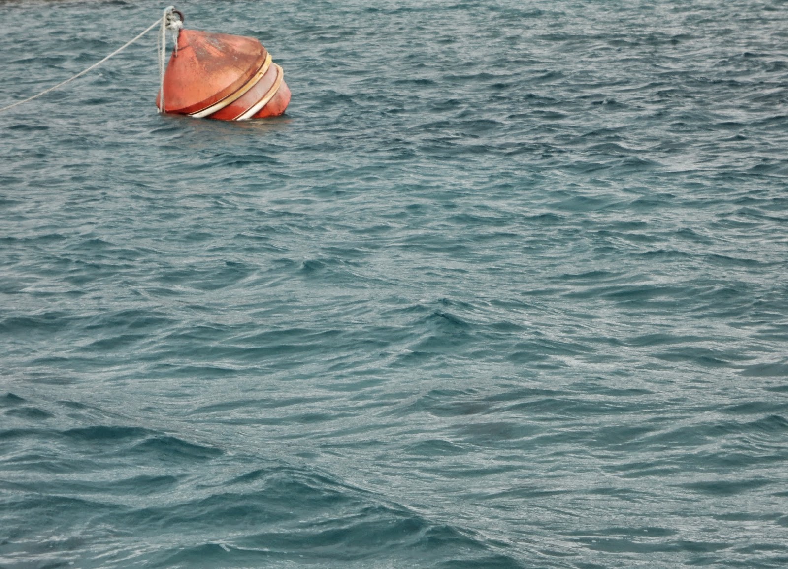 MSLC: Mantenerse a flote