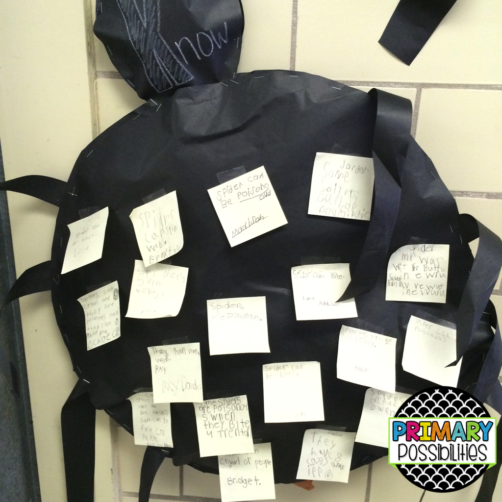 Primary Possibilities: Spiders! Spiders! Spiders!