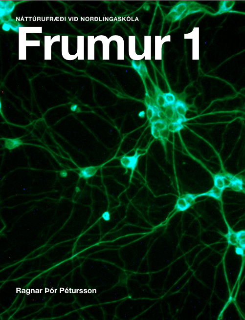 mMaurildi: Rafbækur