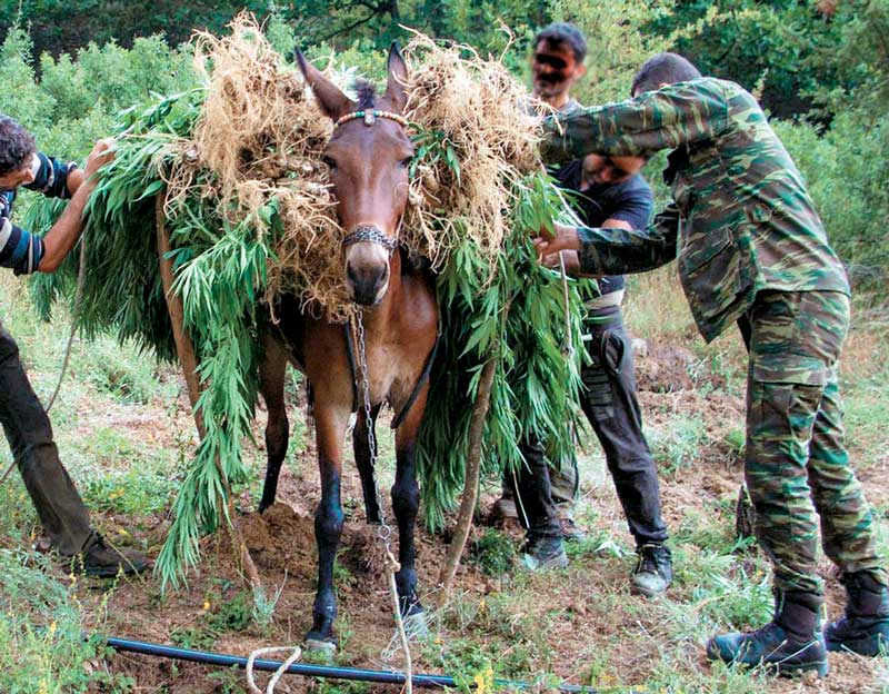 ΛΕΥΤΕΡΙΑ: ΑΚΟΜΗ ΚΑΙ ΜΕ ΜΟΥΛΑΡΙΑ ΦΕΡΝΟΥΝ ΧΑΣΙΣ ΟΙ ΑΛΒΑΝΟΙ ΜΕΣΑ ΑΠΟ ΤΑ ...