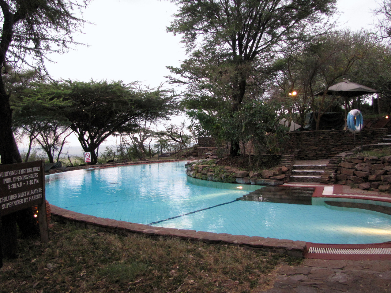 Miwani for Mwanza: Morning on the Serengeti - Safari Day 2