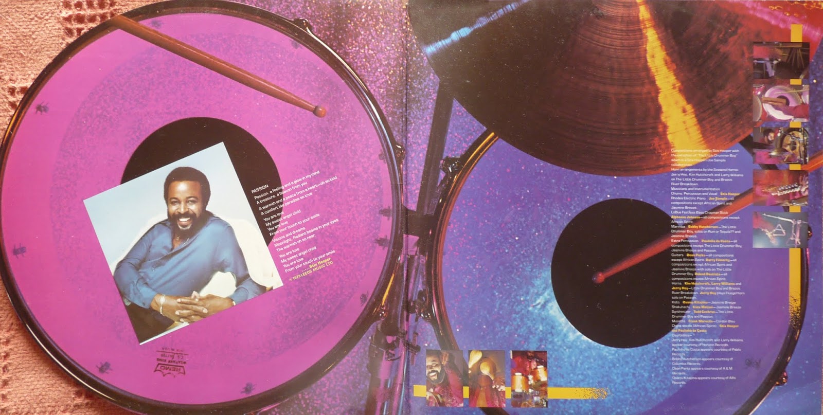 The Vinyl Curator: Stix Hooper - The World Within