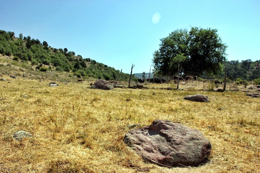 Arkeo Denemeler: Zeyde Yerleşimi / ANKARA / GALATİA / Beypazarı ...