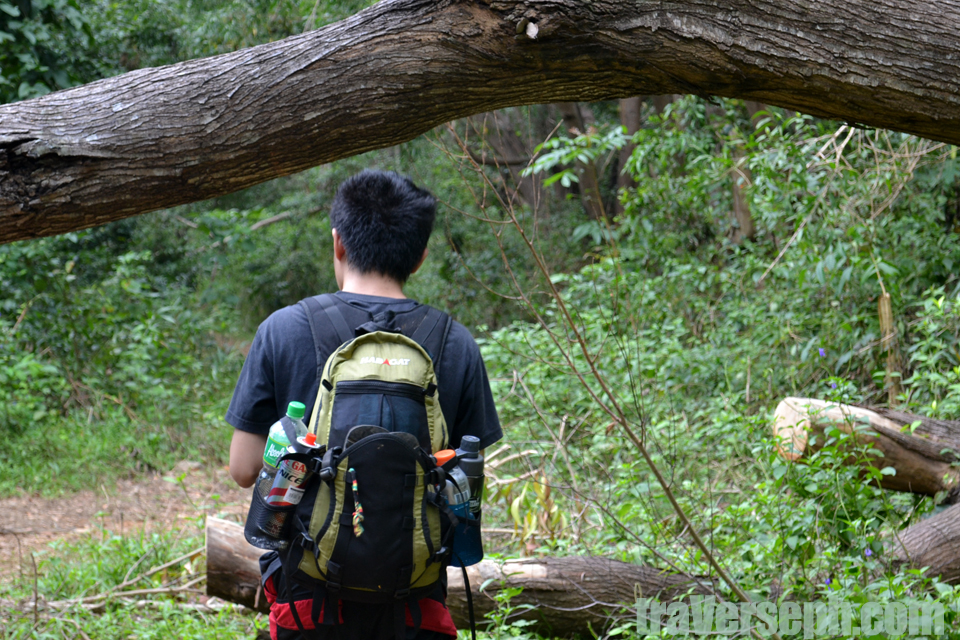 Traverse-ph: Hiking Talks #14: The craggy landscape of Tarak Ridge ~ Mt ...
